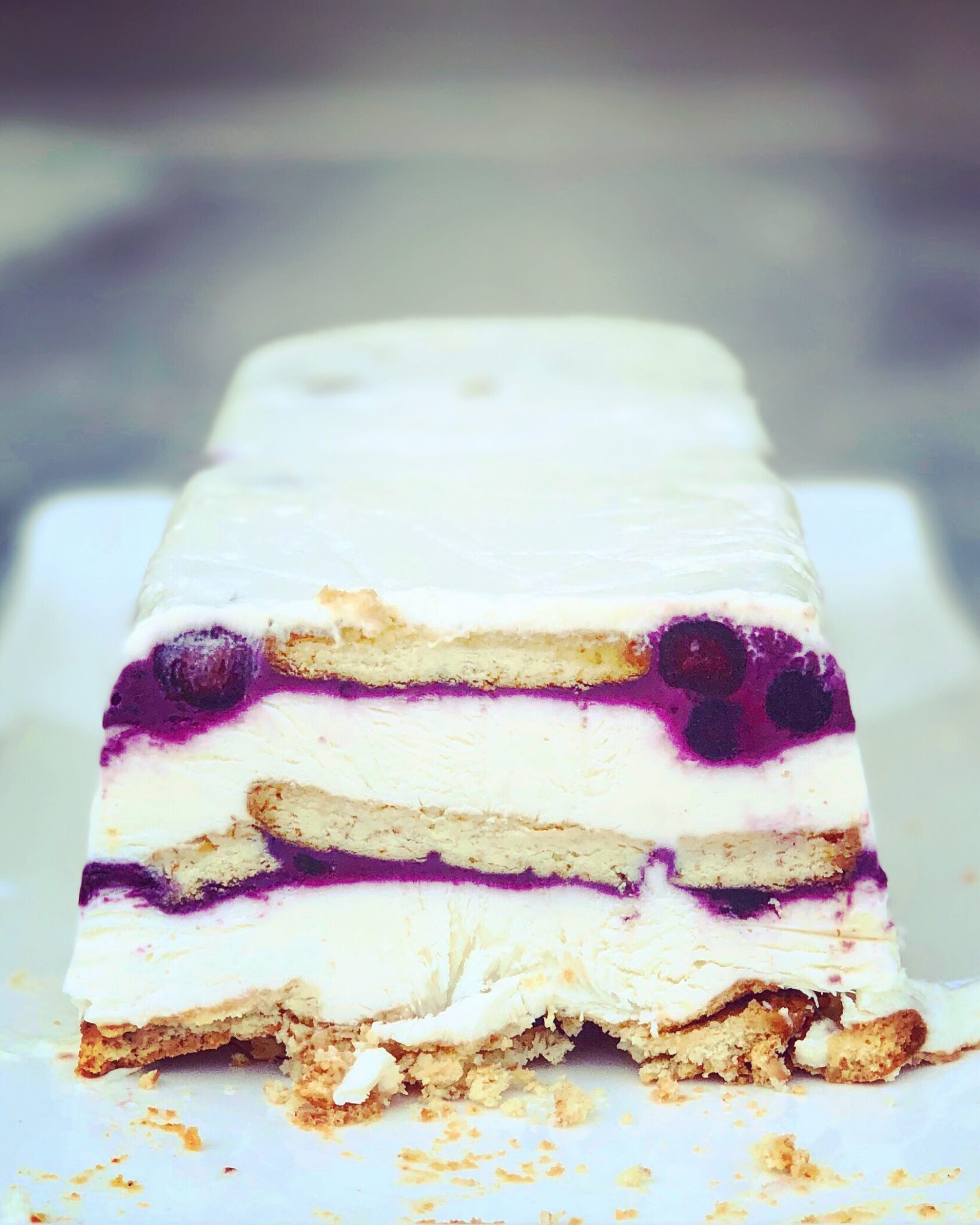 Blueberry Frozen Yogurt Slice - Cuisinovia